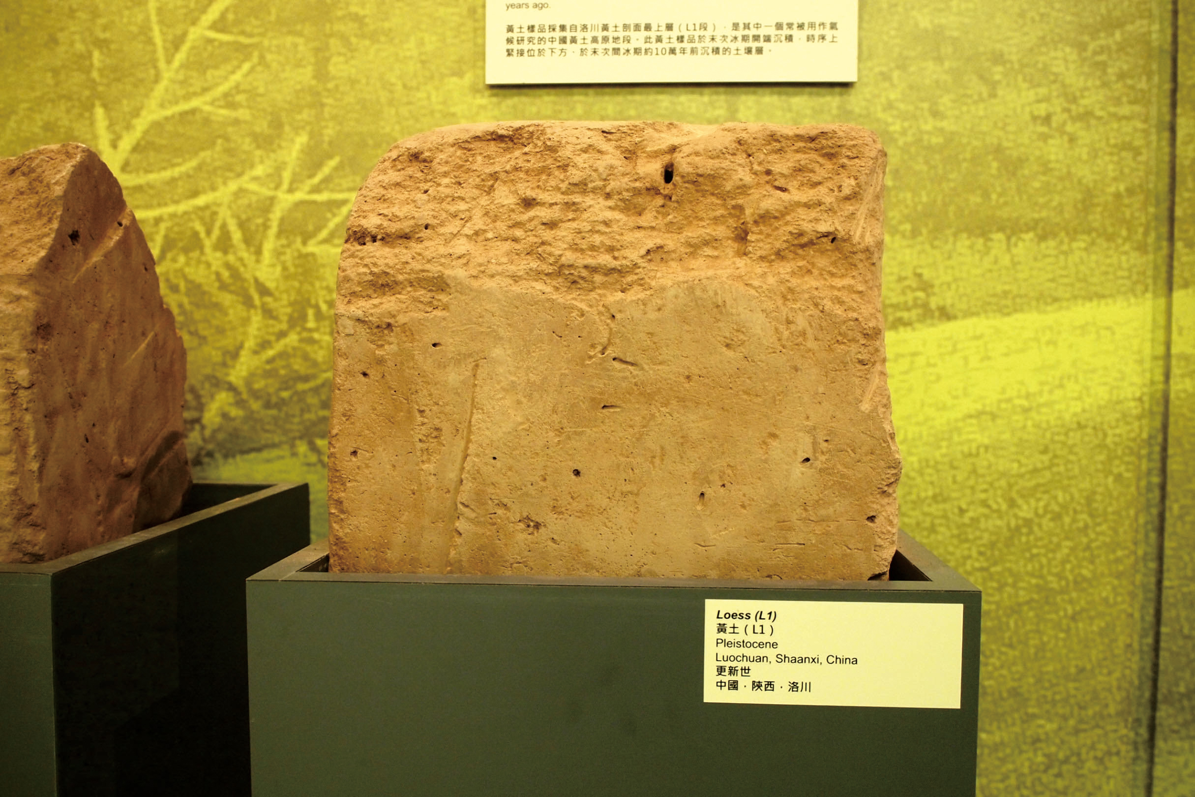 An HKU exhibition to launch on Earth Day to showcase the last 65 ...