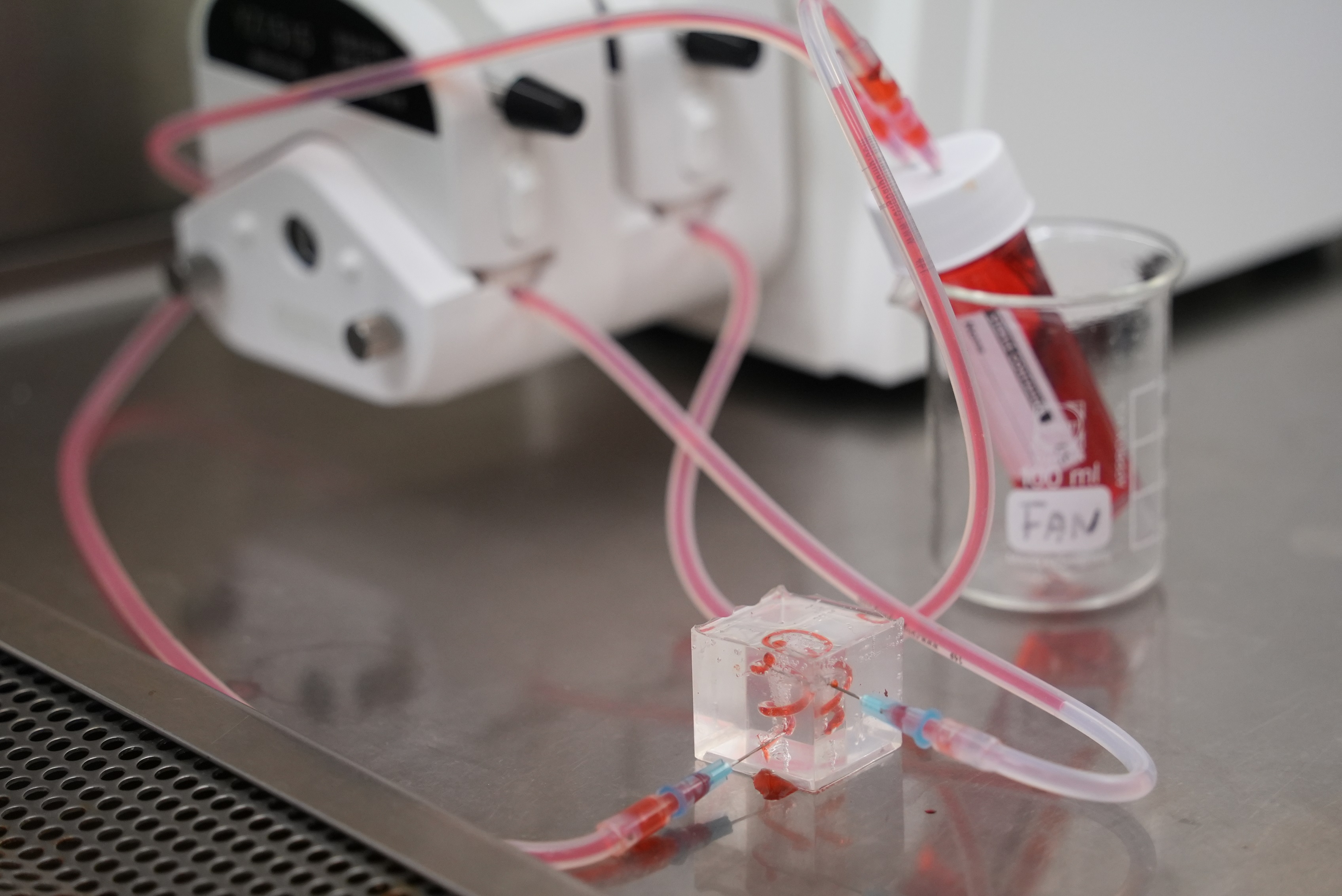 HKUMed’s world-first ‘Liver-in-Cube’ wins a Gold medal at International ...