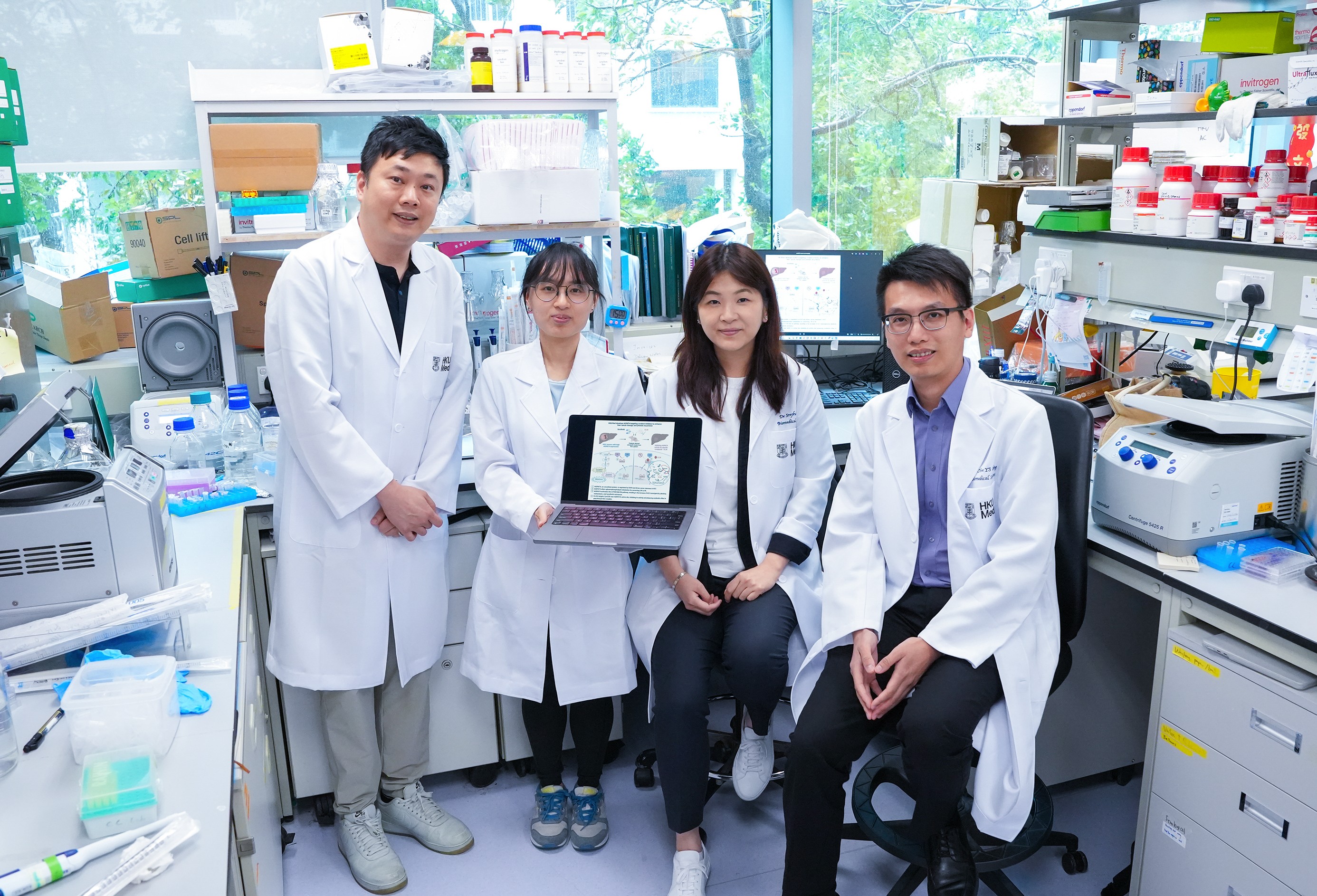 HKUMed identifies key protein in liver cancer resistance and develops ...