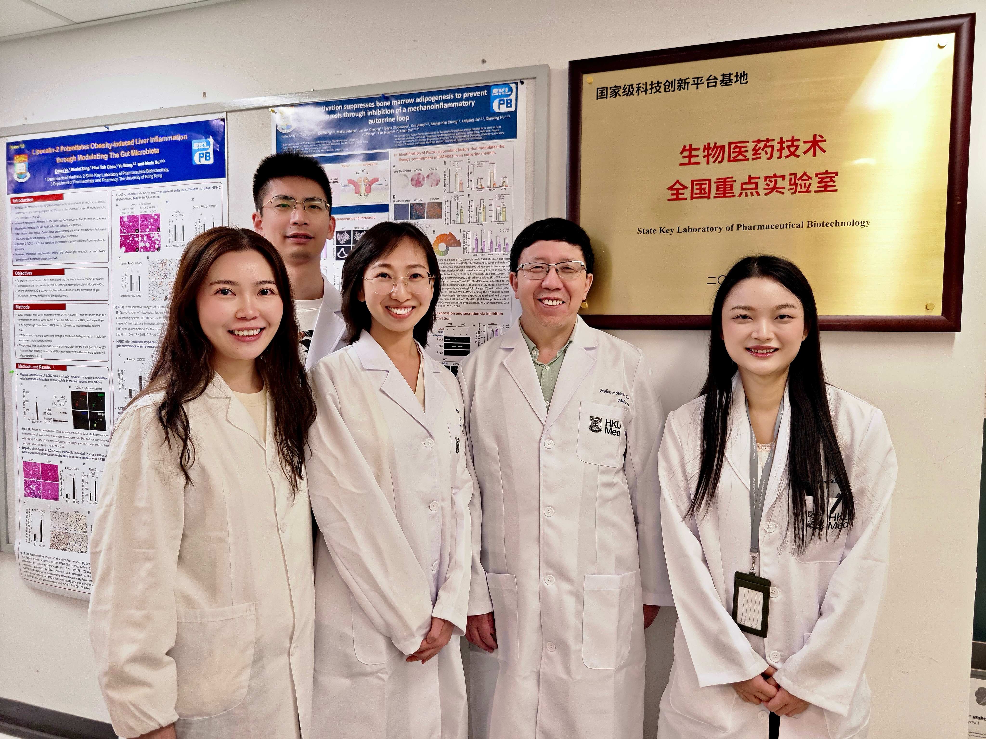 HKUMed uncovers the mechanism behind exercise-induced bone ...